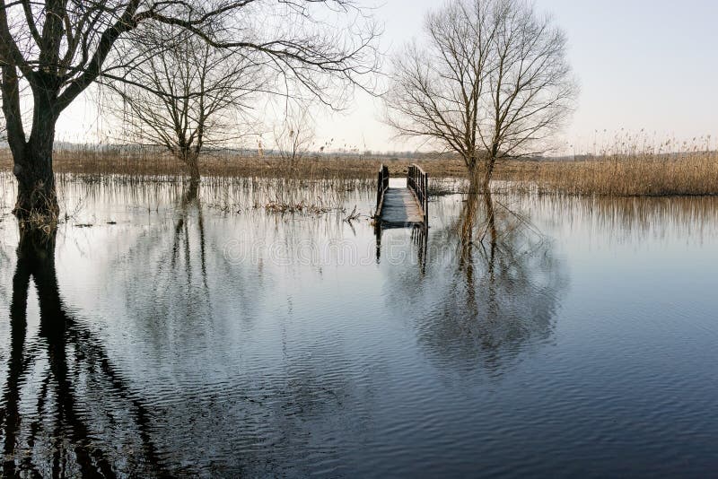 River Left Banks Early Spring Flooded Pedestrian Bridge Stock Photos ...