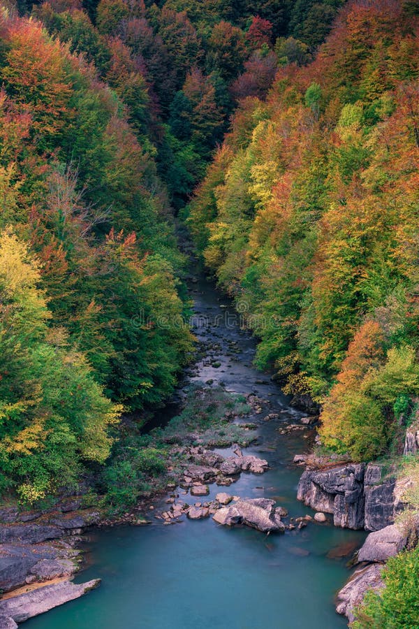 Autumn Colors in the River in Selva De Irati Stock Photo - Image of ...