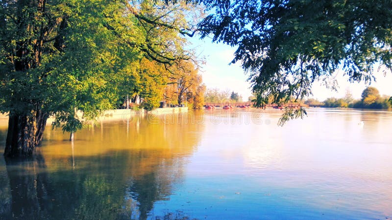 River stock image. Image of life, landscapes, river, trees - 75393449