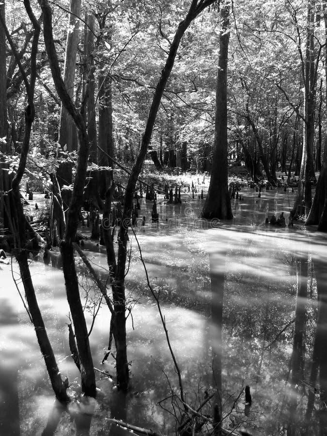 River life black and white stock photo. Image of black - 91915828