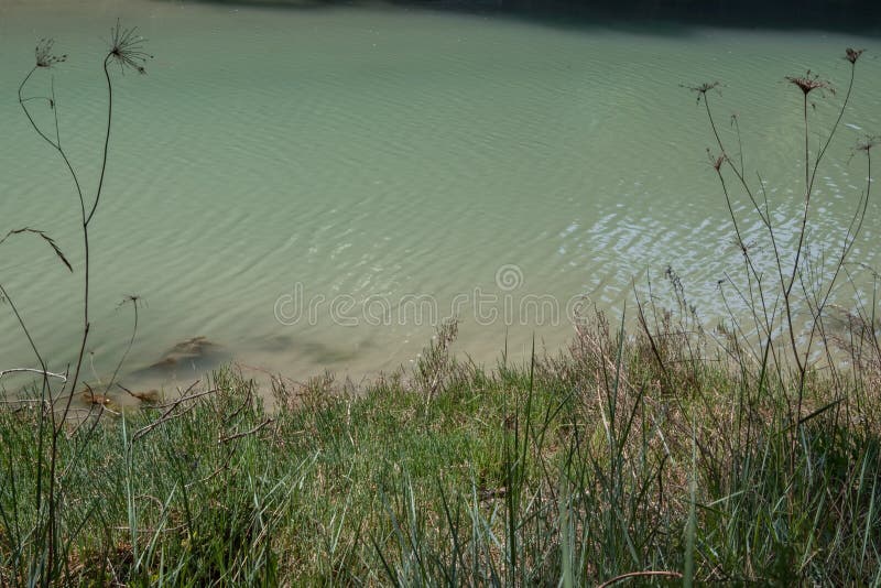 River with Light Blue Water Stock Image - Image of meadow, outdoor ...