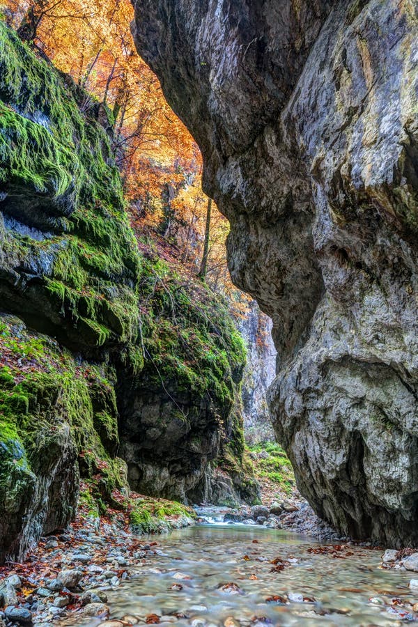 River in limestone canyon stock photo. Image of boulders - 85222178