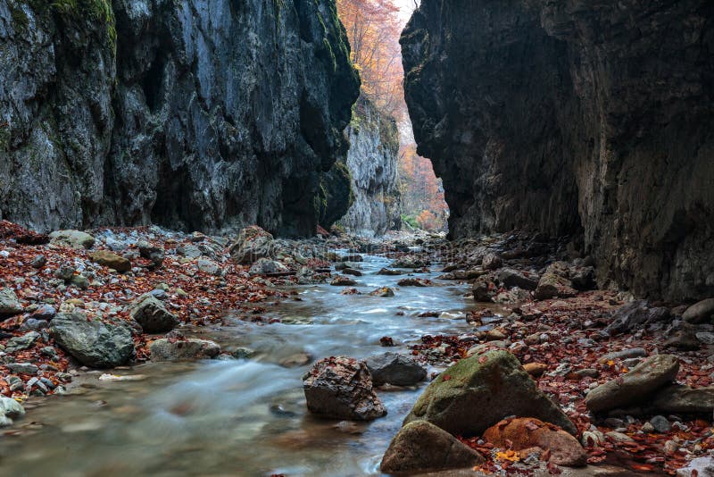River in limestone canyon stock photo. Image of landscape - 85230256
