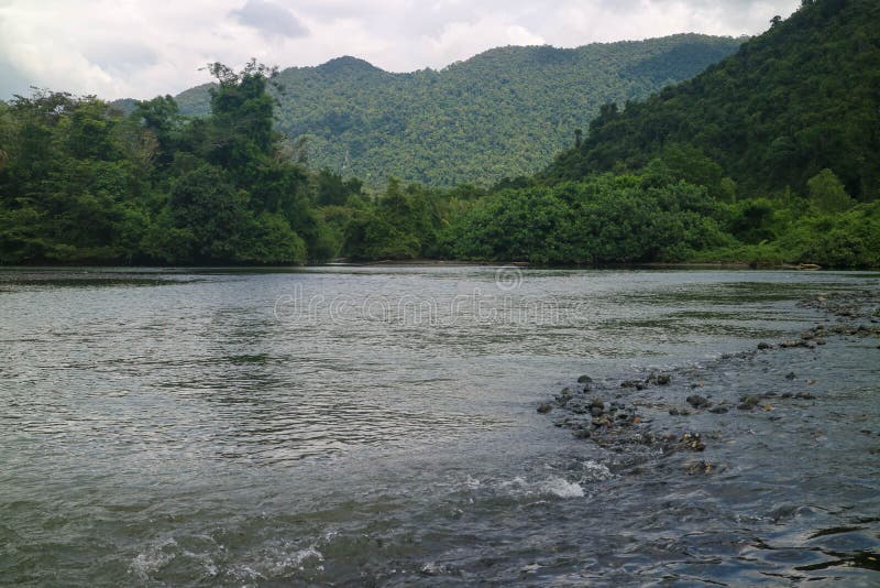 River Lined with Tropical Forest Stock Photo - Image of waterway ...
