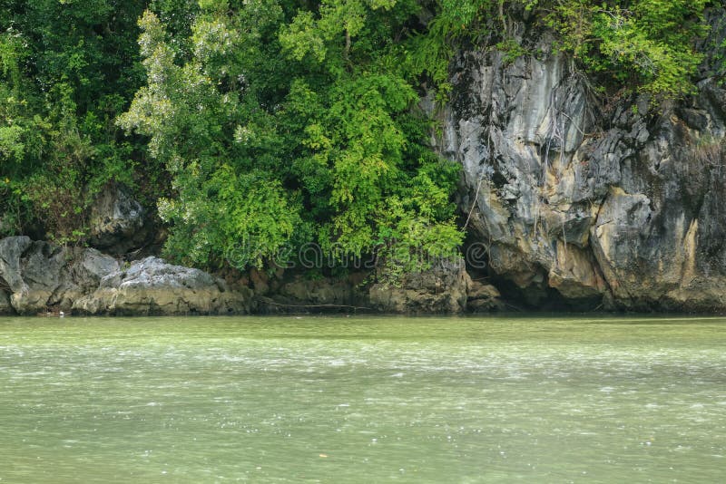 River Lined with Tropical Forest and Rocks Stock Image - Image of plant ...
