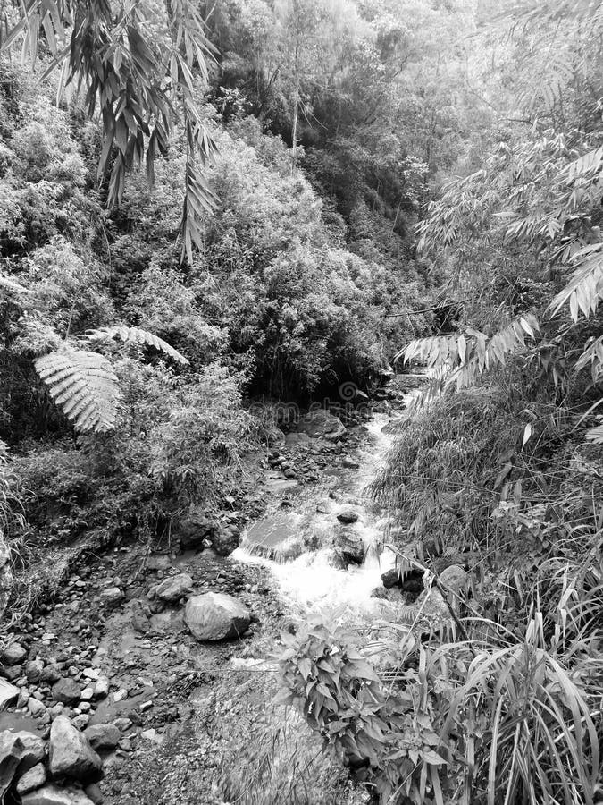 This is a River Located at Mount Merbabu National Park, Central Java ...