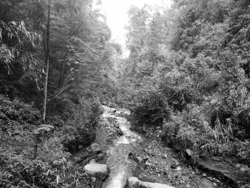 This is a River Located at Mount Merbabu National Park, Central Java ...