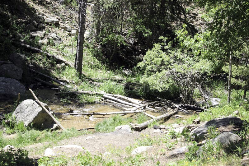 River Logjam stock image. Image of landscape, stones - 94643319