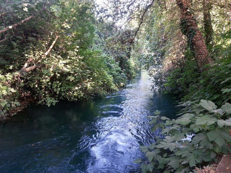 River editorial image. Image of river, water, natural - 42924775