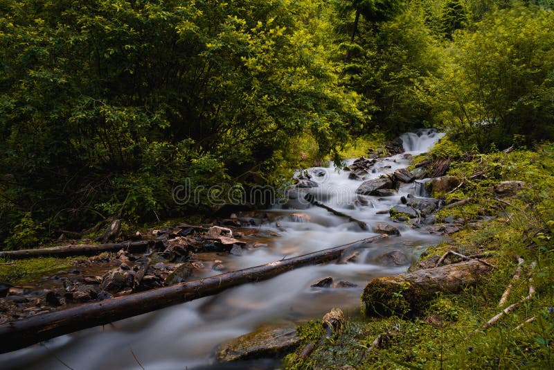 River with Long Exposure Surrounded by Rocks and Greenery in a Forest ...