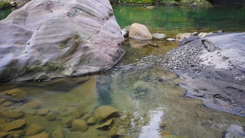 A River Looked from the Riverside Point of View Stock Video - Video of ...