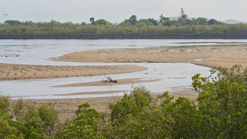 River at Low Tide stock photo. Image of levels, levy - 169241390