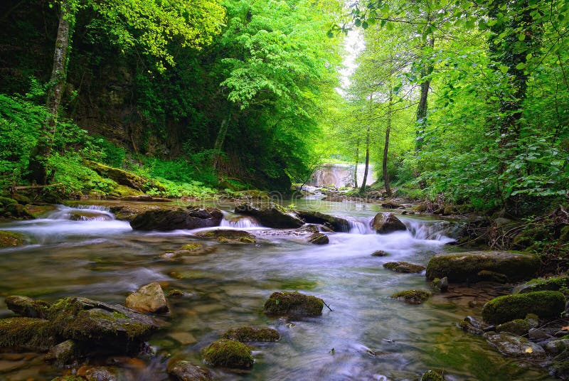 River with low water stock image. Image of musk, autumn - 39533375