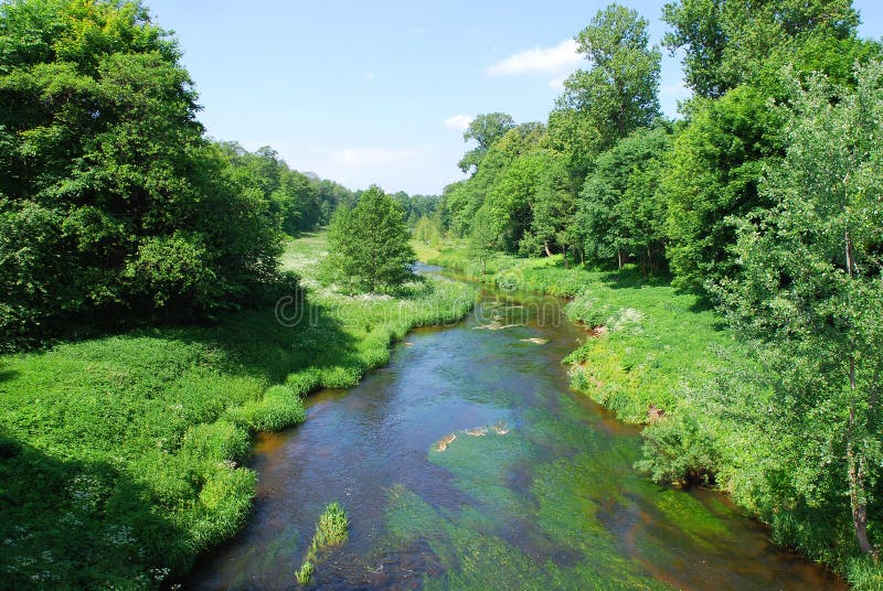 River and lush greenery stock photo. Image of plants - 26967000