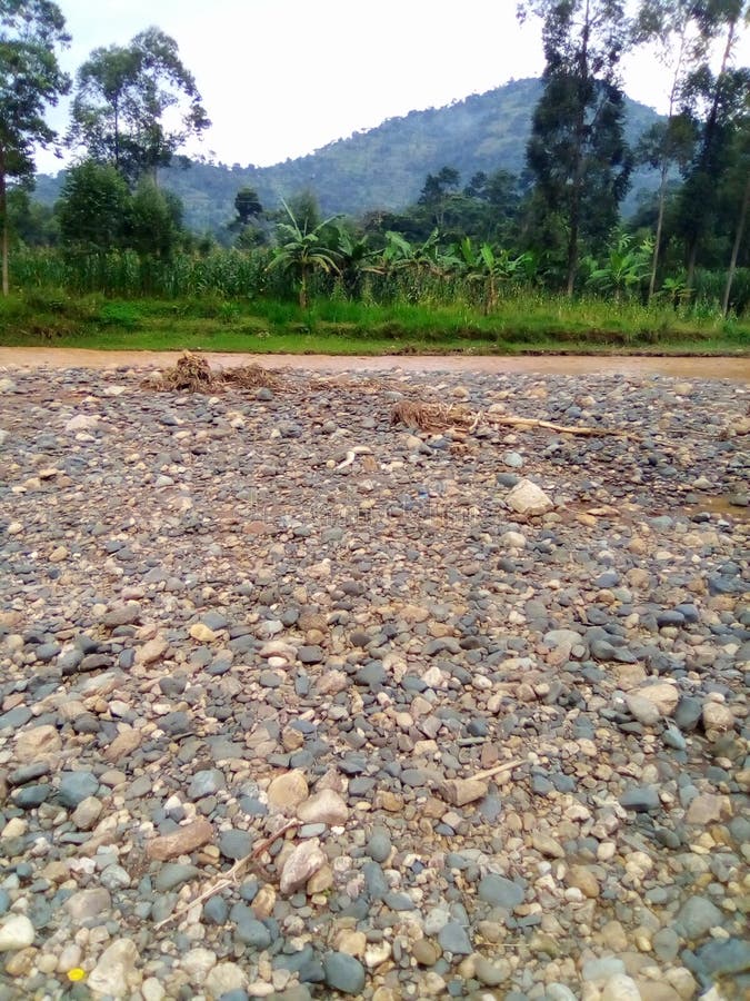 River Manafwa Most Deadly in Rainy Season Stock Photo - Image of river ...