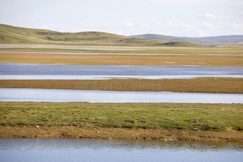River on Marsh stock image. Image of summer, asian, china - 20591335