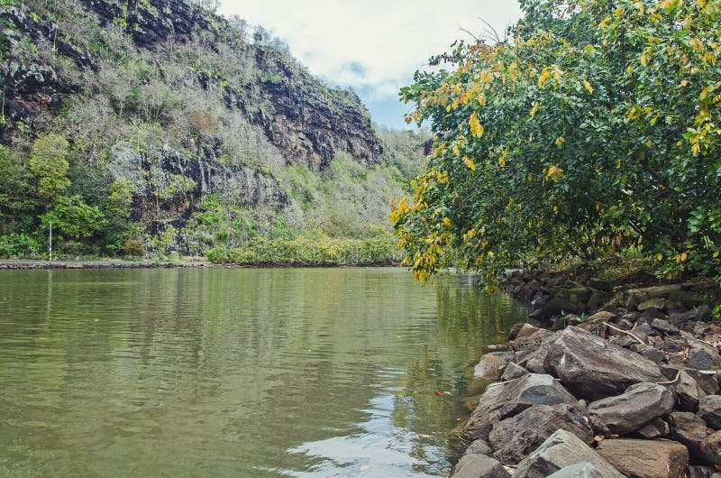 River in Mauritius stock image. Image of scenery, channel - 99728131