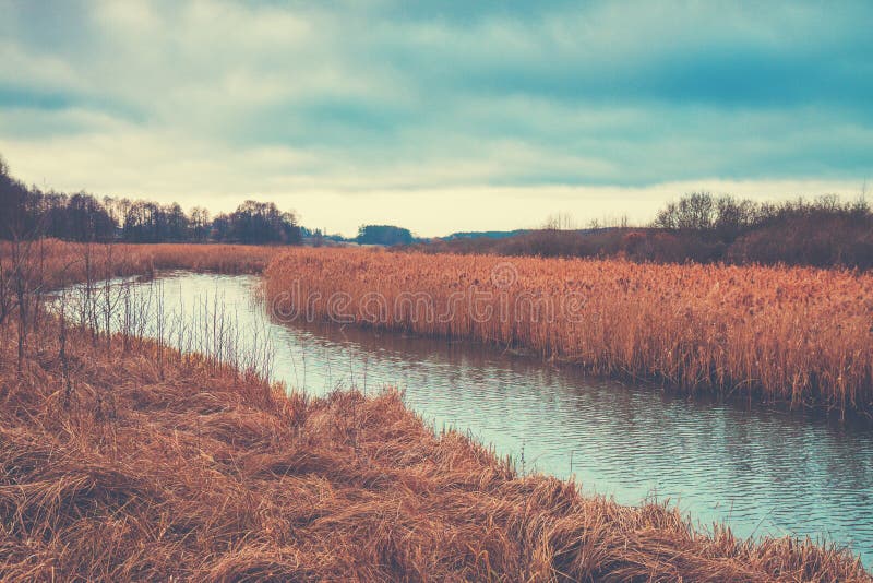River in the Meadow in Early Spring Stock Photo - Image of outdoor ...