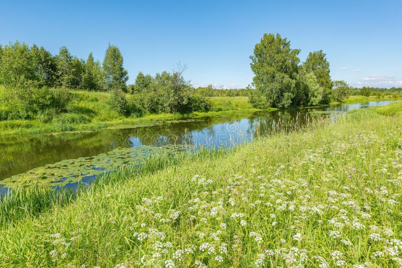 River and meadow stock image. Image of environmental, calming - 5000457