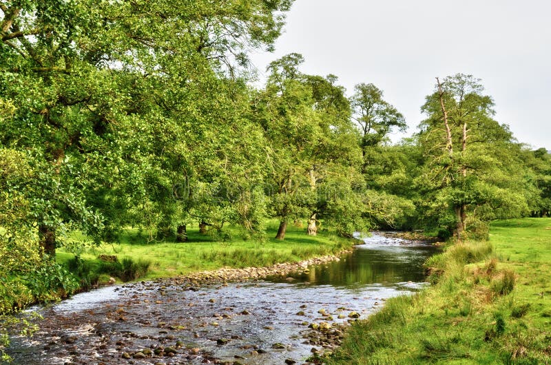 River Meandering Though Lush English Countryside Stock Image - Image of ...