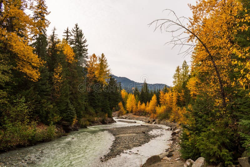 A River Meanders through a Fall Landscape with a Mixed Forest of ...