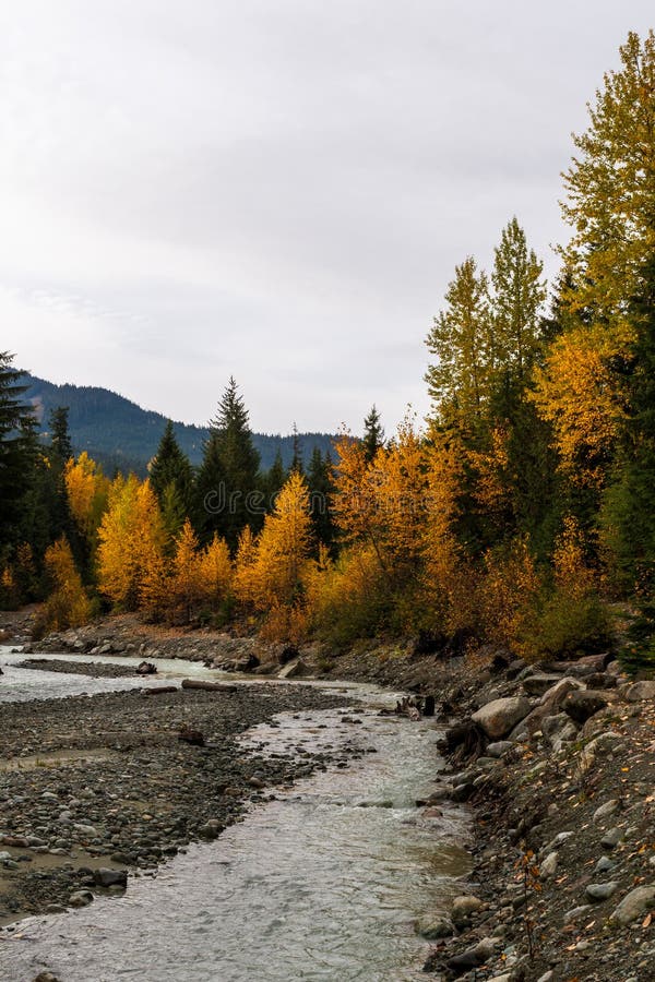 A River Meanders through a Fall Landscape with a Mixed Forest of ...