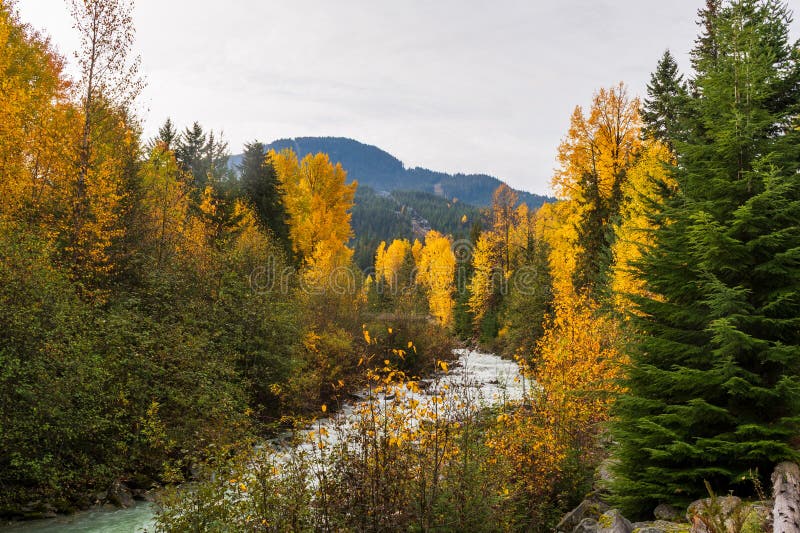 A River Meanders through a Fall Landscape with a Mixed Forest of ...
