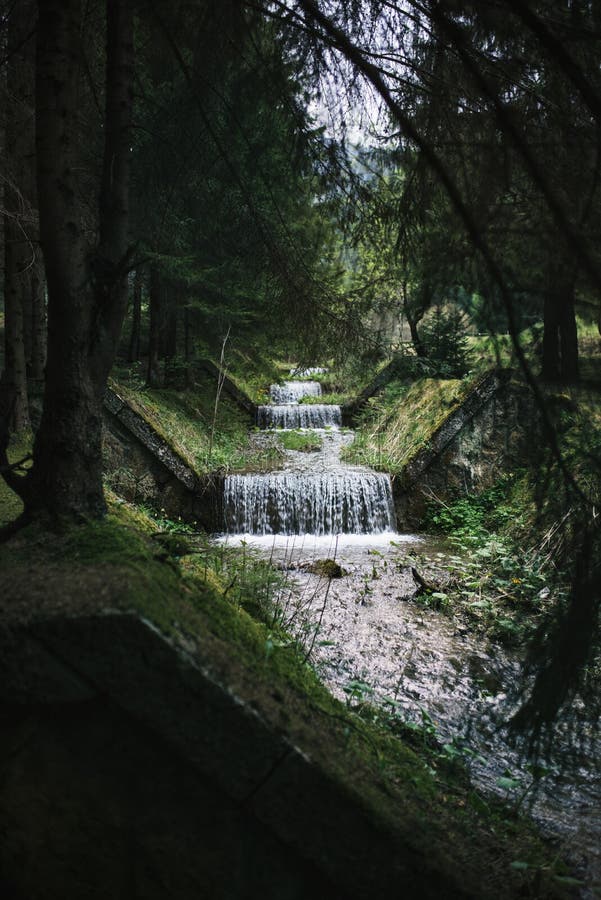 River in the Middle of Forest. Moody Tones of Forest. Cascades on the ...