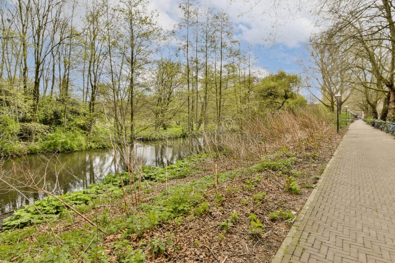 A Path Next To a River in a Park Stock Image - Image of herb, plant ...