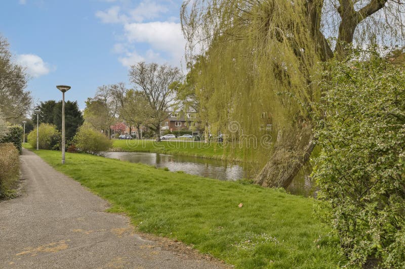 A Path Next To a River with a Weeping Tree Stock Photo - Image of tree ...