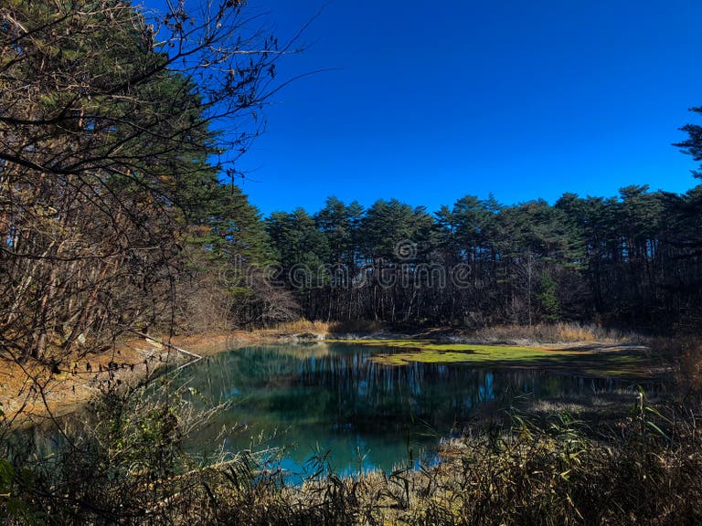 River in the Middle of Spring Forest Kitashiobara Stock Image - Image ...