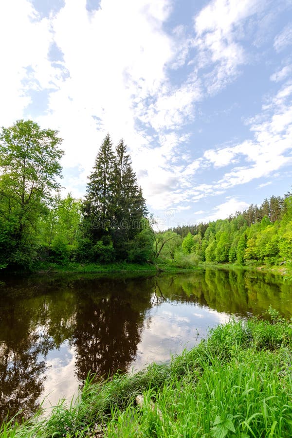 River in the Middle of the Summer Forest Stock Photo - Image of hill ...
