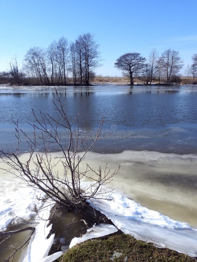 River Minija and Nice Trees in Spring , Lithuania Stock Image - Image ...