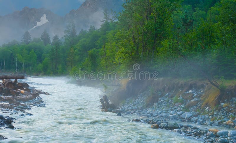 River in Mist Rushing through the Canyon with Forest on Coast Stock ...