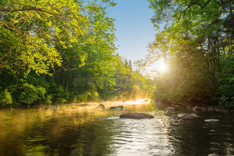 River in the morning stock image. Image of canada, forest - 42636269