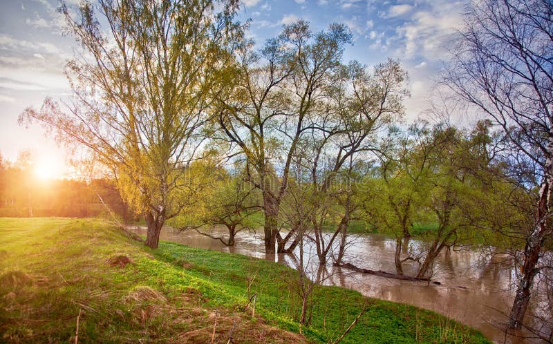 River in morning light stock image. Image of scene, calm - 42240583