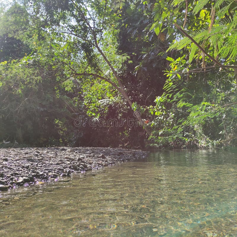 River in the Morning is Located in the Poso Area, South Coast Stock ...