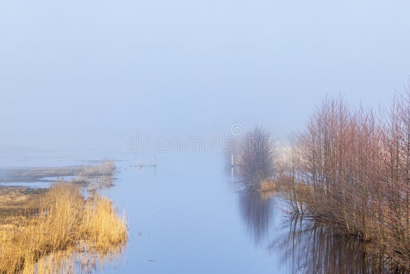River in Morning Mist at Spring Stock Image - Image of scenery, nature ...