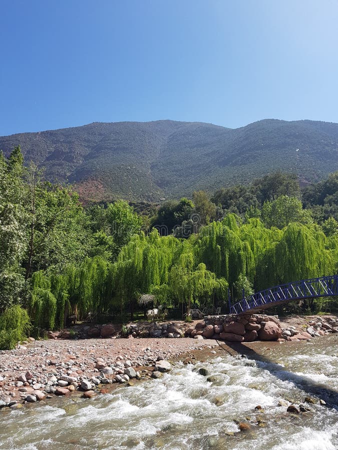 River stock image. Image of marrakech, river, moroccan - 117555505