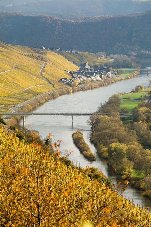 River Mosel Vineyards stock image. Image of blue, field - 12256399