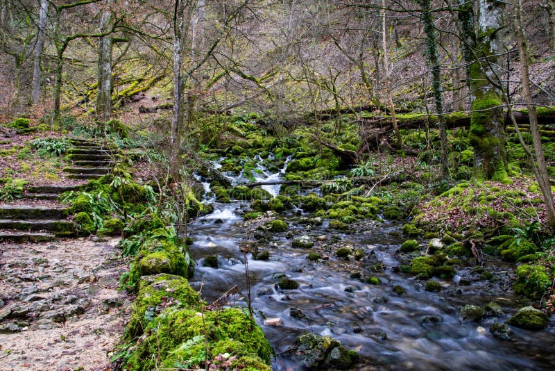 River with Mossy Rocks in a Forest Stock Image - Image of river, smooth ...