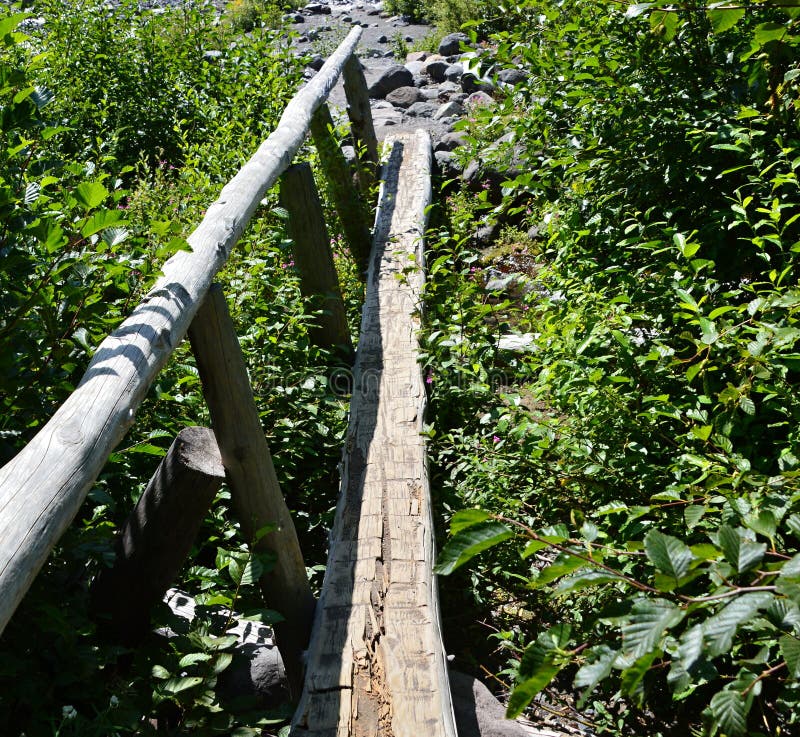 River in Mount Rainier National Park, Washington Stock Photo - Image of ...