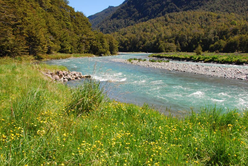 River and mountain stock image. Image of grass, flower - 12559493