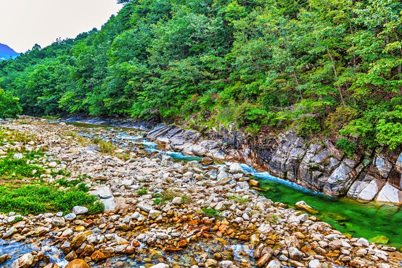 River in Mountain Forest in Korea Stock Image - Image of korea ...