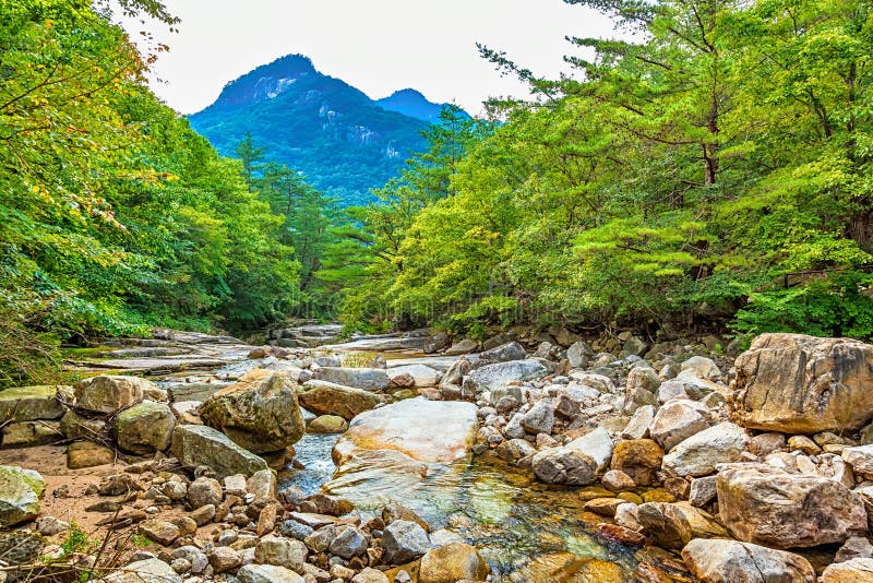 Forest Stream at Seoraksan National Park South Korea Stock Photo ...