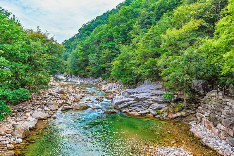 River in Mountain Forest in Korea Stock Image - Image of nature, green ...