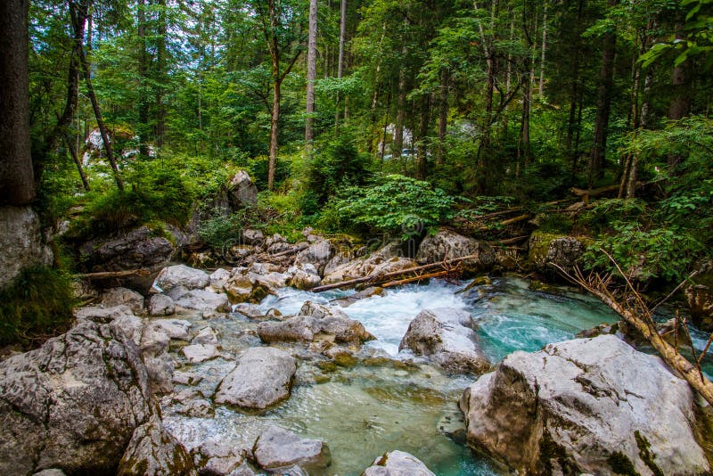 River in the Mountain Forest Stock Image - Image of trees, background ...