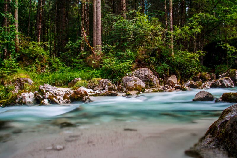 River in the Mountain Forest Stock Image - Image of landscape, mountain ...