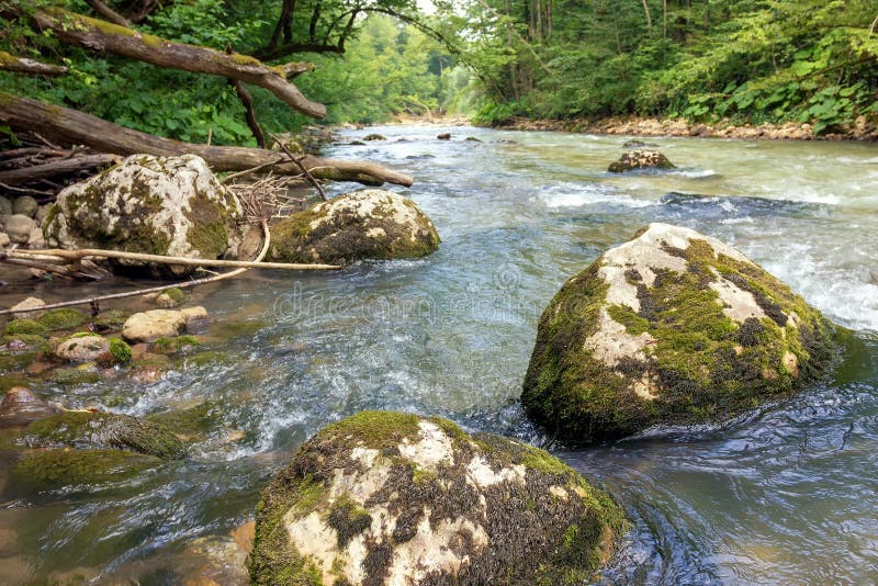 Mountain Rivers Sources of Clean Water Originating from Glaciers. Stock ...
