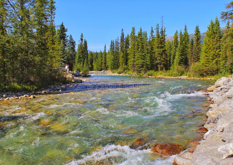 River in the Mountains Banff Canada Stock Photo - Image of tree, rock ...